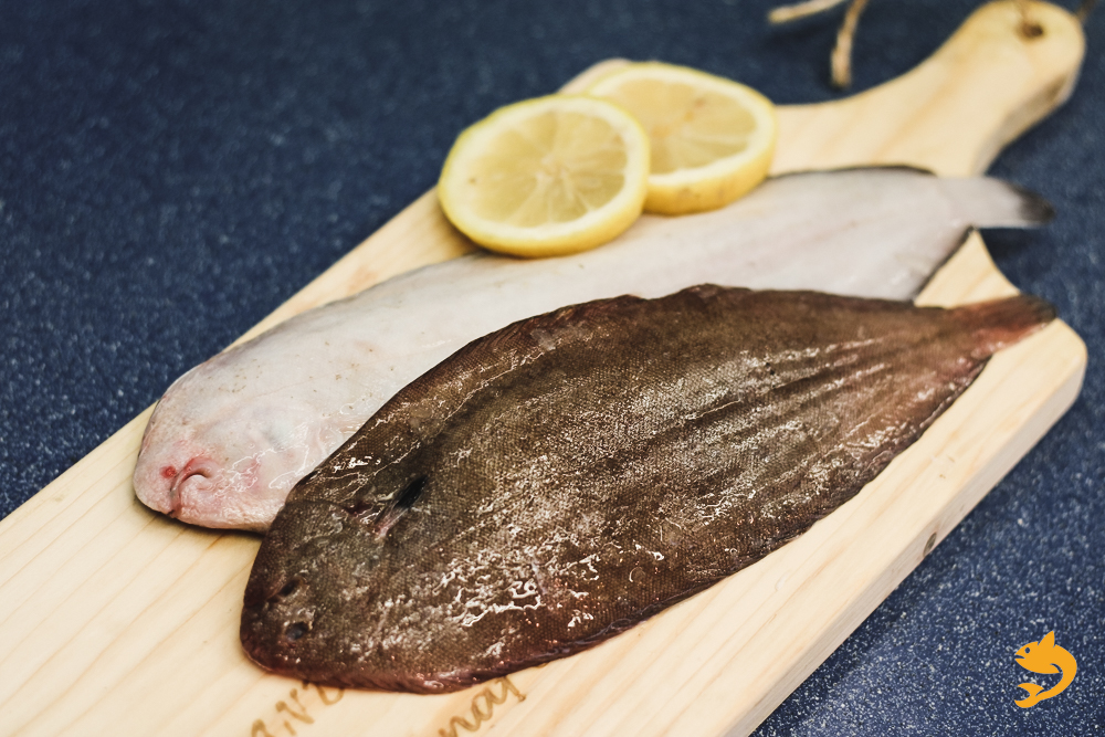 Slibtong - Vishandel Boone Moerland